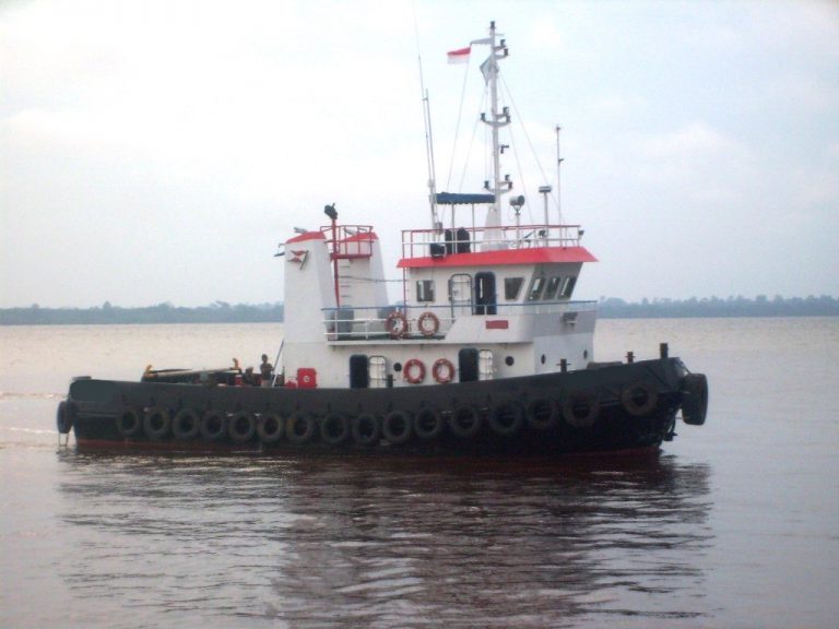 20 M Tug Boat For Sale or Charter - Sale Charter